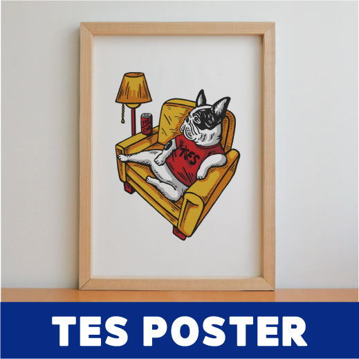 TES POSTER – SHARES DESIGN
